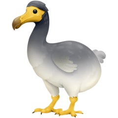🦤 Dodo Emoji