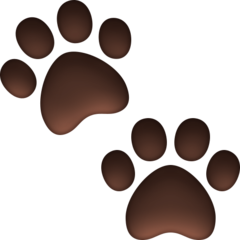 🐾 Paw Prints Emoji