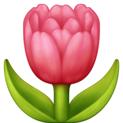 🌷 Tulip Emoji