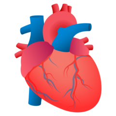Anatomical Heart Emoji | Emoji Anatomical Heart Meaning