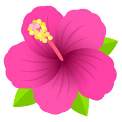 🌺 Hibiscus Emoji