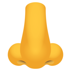 Nose Emoji | Emoji Nose Meaning