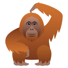 🦧 Orangutan Emoji