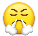 Face with Steam From Nose Emoji | Face Steam From Nose Meaning