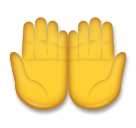 Palms Up Together Emoji | Emoji Palms Up Together Meaning