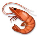 🦐 Shrimp Emoji