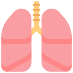 🫁 Lungs Emoji