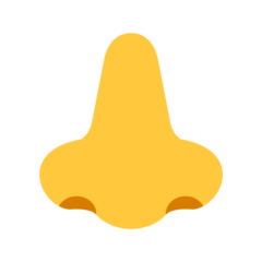 Nose Emoji | Emoji Nose Meaning