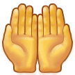 🤲 Palms Up Together Emoji
