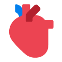🫀 Anatomical Heart Emoji