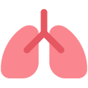 🫁 Lungs Emoji