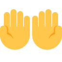 🤲 Palms Up Together Emoji