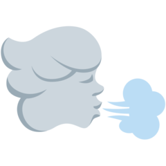 🌬️ Wind Blowing Face Emoji
