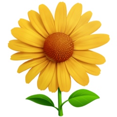 🌼 Blossom Emoji