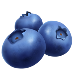 🫐 Blueberries Emoji