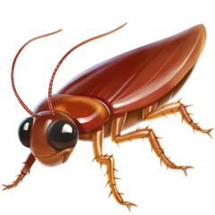 🪳 Cockroach Emoji