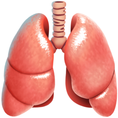 Lungs Emoji | Emoji Lungs Meaning