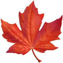 🍁 Maple Leaf Emoji