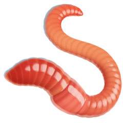 🪱 Worm Emoji
