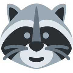 🦝 Raccoon Emoji