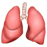🫁 Lungs Emoji