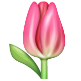 🌷 Tulip Emoji