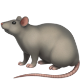🐀 Rat Emoji on Apple iOS 16.4