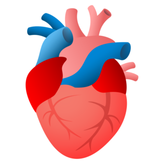 🫀 Anatomical Heart Emoji on JoyPixels 6.0