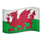 🏴󠁧󠁢󠁷󠁬󠁳󠁿 Flag for Wales Emoji