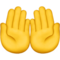 🤲 Palms Up Together Emoji
