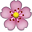 🌸 Flor De Cerezo emojis