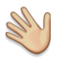 👋 Winkende Hand Emoji