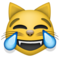 😹 Cat Face with Tears of Joy Emoji