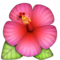 🌺 Hibiscus Emoji