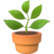 🪴 Potted Plant Emoji