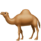 🐪 Dromedary Camel Emoji