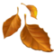 🍂 Fallen Leaf Emoji
