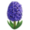 Hyacinth Emoji