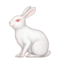 🐇 Rabbit Emoji