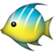 🐠 Tropical Fish Emoji