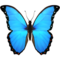 🦋 Butterfly Emoji