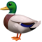 🦆 Duck Emoji