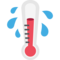 🌡️ Thermometer Emoji