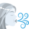 🌬️ Wind Blowing Face Emoji