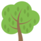 🌳 Deciduous Tree Emoji