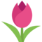 🌷 Tulip Emoji