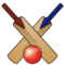 🏏 Cricket Bat and Ball Emoji