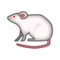 🐁 Mouse Emoji