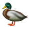 🦆 Duck Emoji
