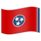 🏴󠁵󠁳󠁴󠁮󠁿 Flag for Tennessee (US-TN) Emoji